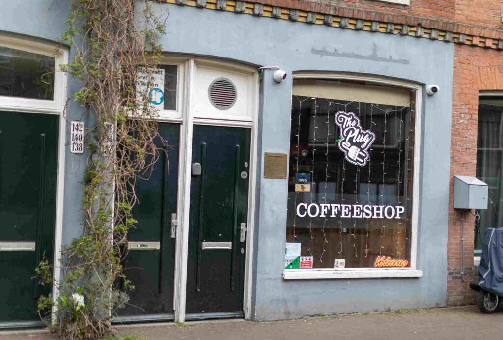 Why The Plug Westerdok is a Must-Visit Coffeeshop in Amsterdam